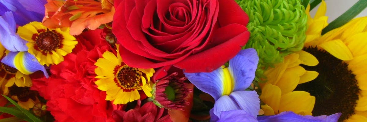 The Flower Sanctuary Florist SW12 Balham 020 8675 3799