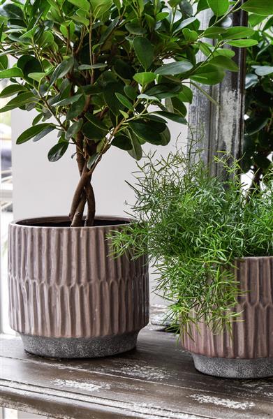 Onno Planter Blush